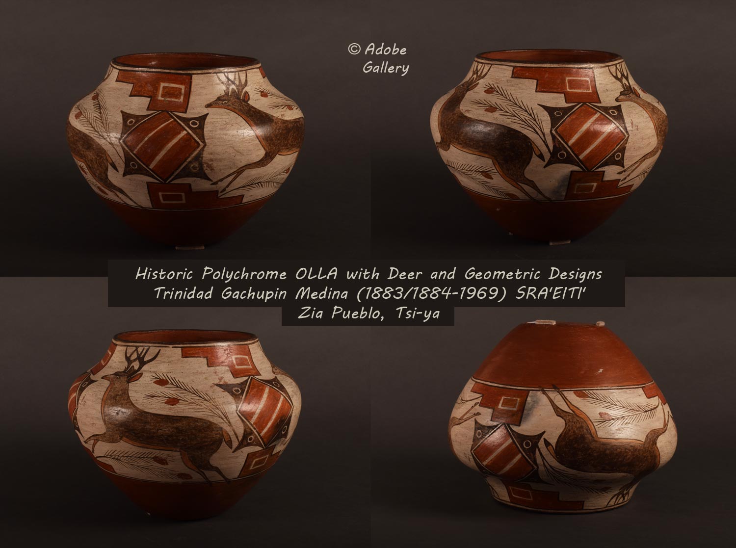Southwest Indian Historic Pottery Zia Pueblo C4730-09 - Adobe Gallery ...