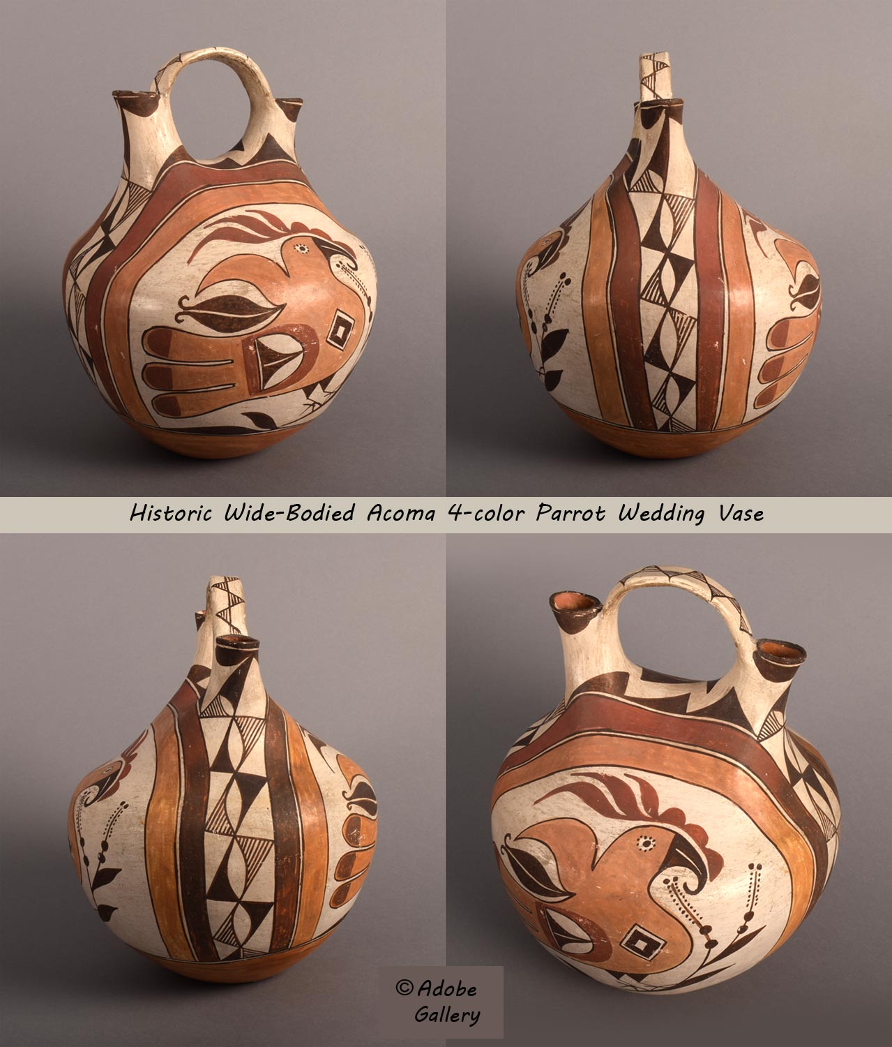 Southwest Indian Historic Pottery Wedding Vase Parrot C4850ZK - Adobe ...