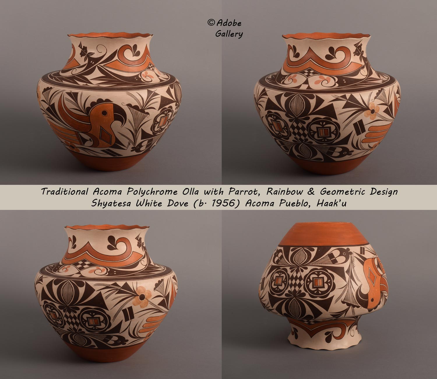 Modern Southwest Indian Acoma Pueblo Pottery Parrot C4930F - Adobe ...